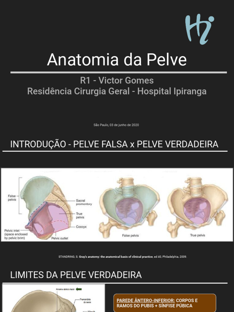 Anatomia Pelve | PDF