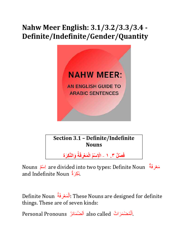 Definite - Indefinite - Gender - Quantity | PDF