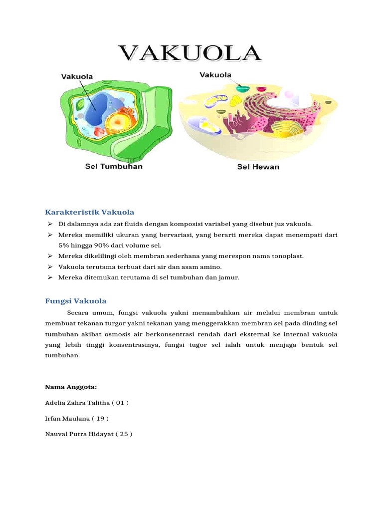 Karakteristik Vakuola | PDF