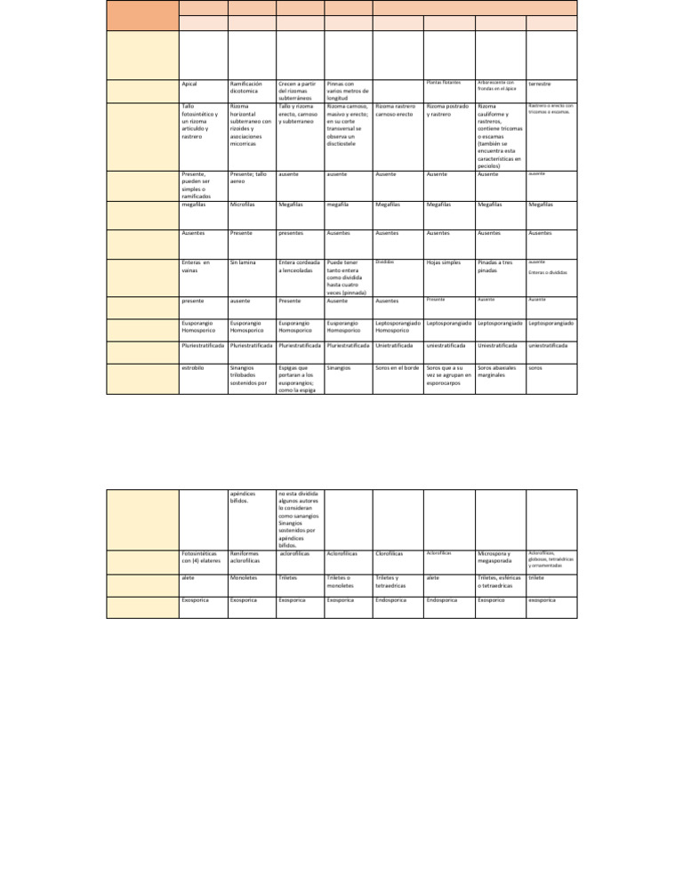 Cuadro Plantas 2 | PDF
