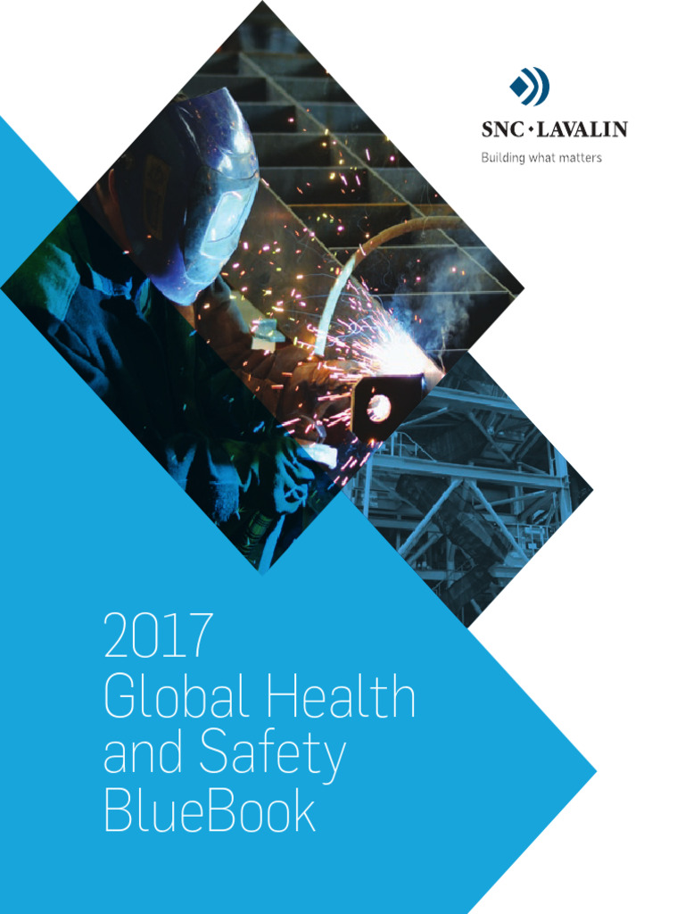 Health and Safety Blue Book | PDF
