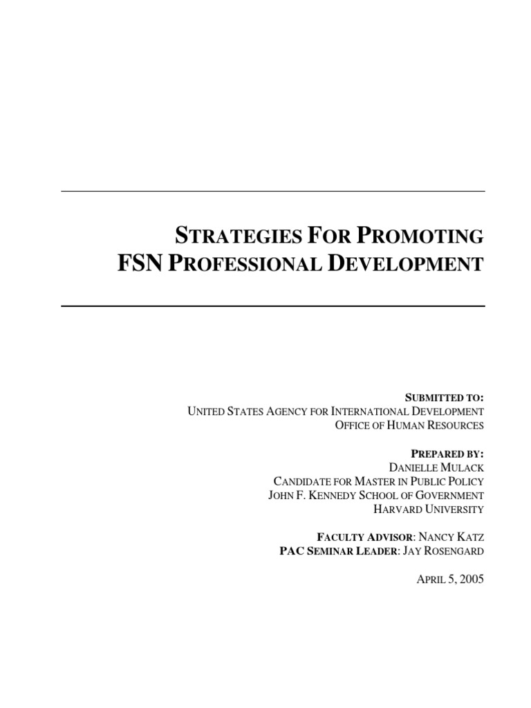 Strategies For Promoting FSN | PDF | United States Agency For ...