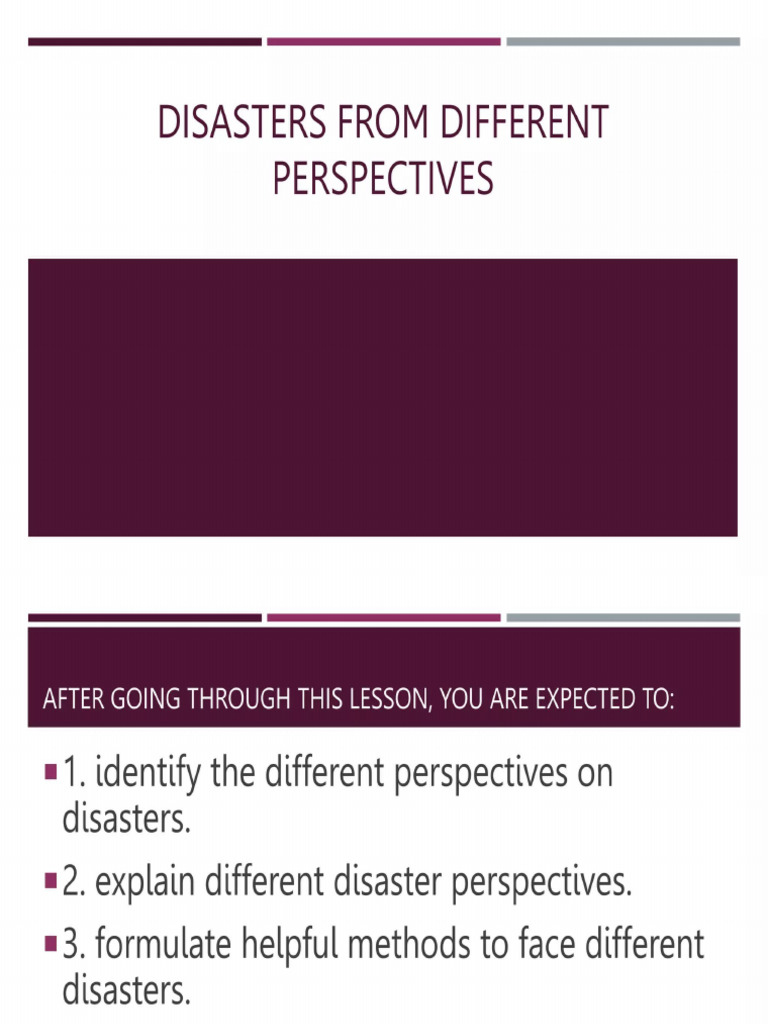 Disaster Form Different Perspective | PDF