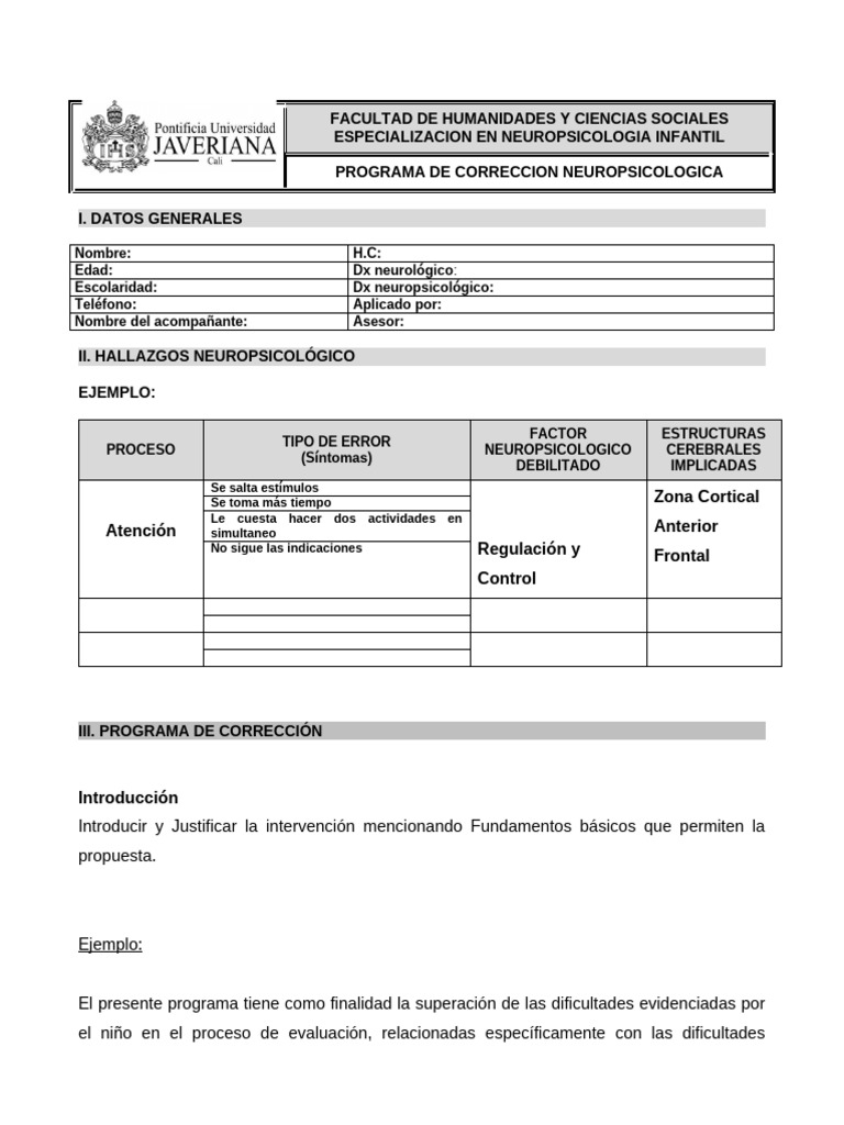 ESQUEMA PROGRAMA DE CORRECCION NEUROPSICOLOGIA | PDF