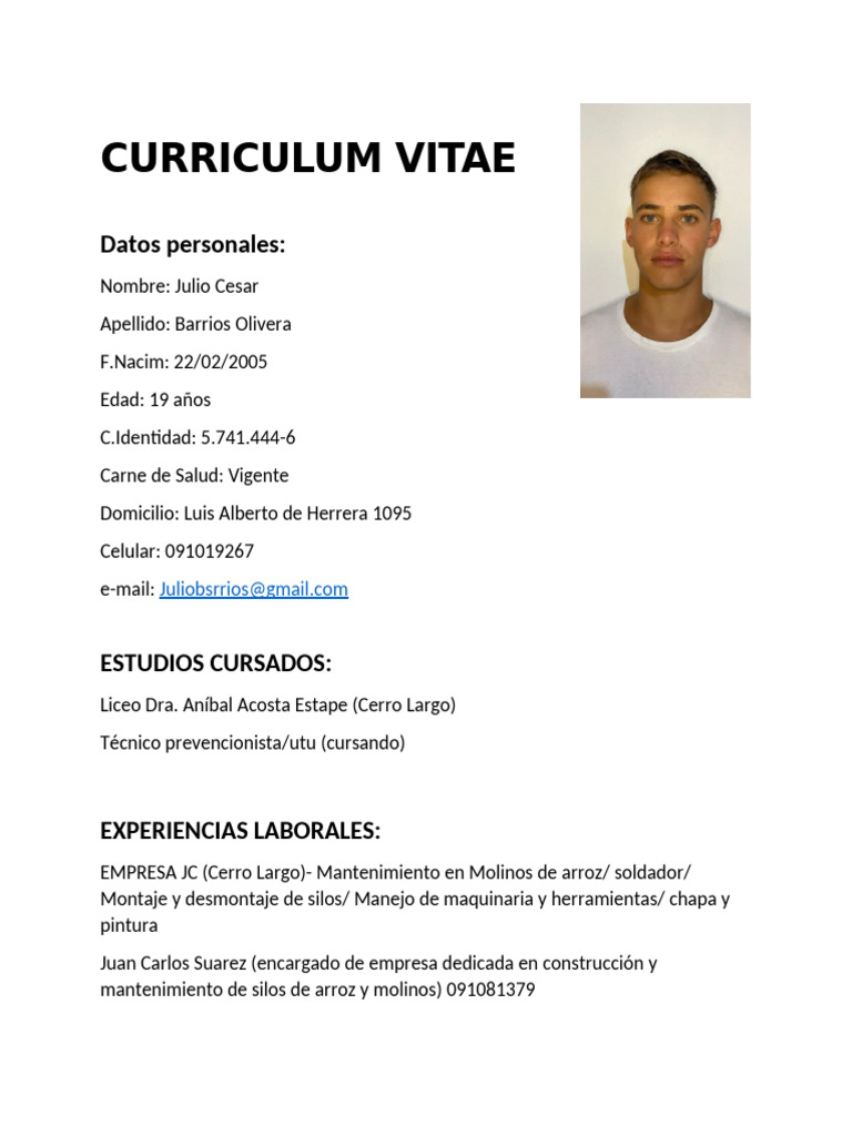 Curriculum Vitae Julio 2024 | PDF