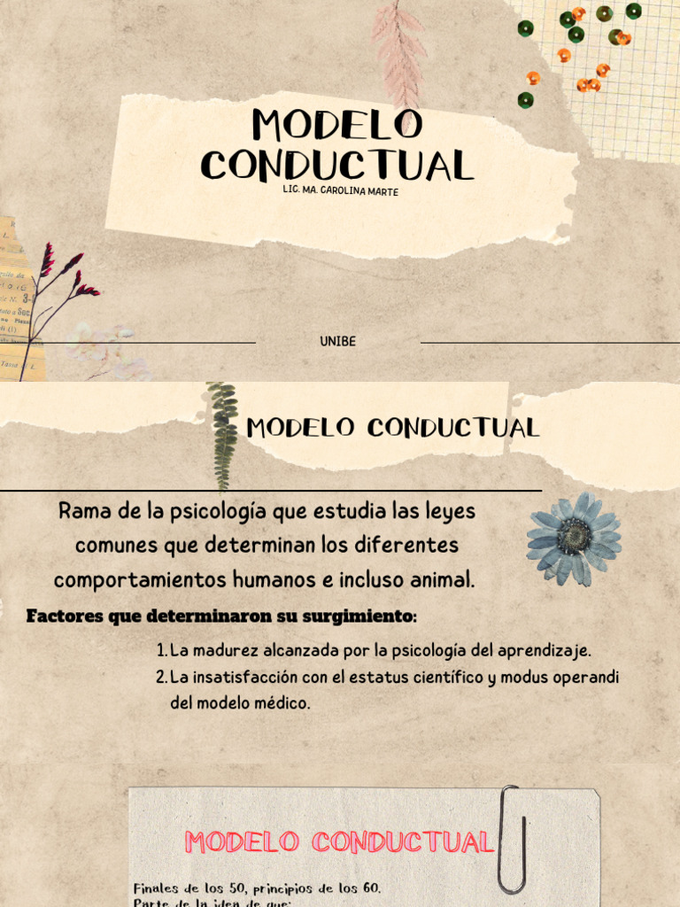 Modelo Conductual | PDF