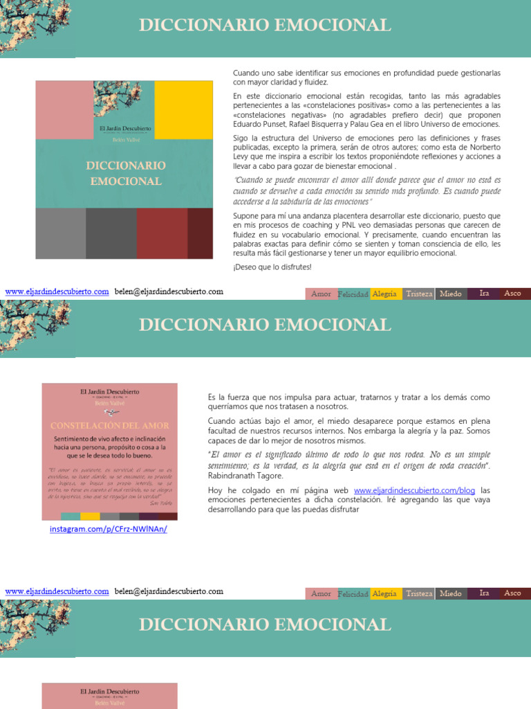 Diccionario Emocional Belen Vallve | PDF