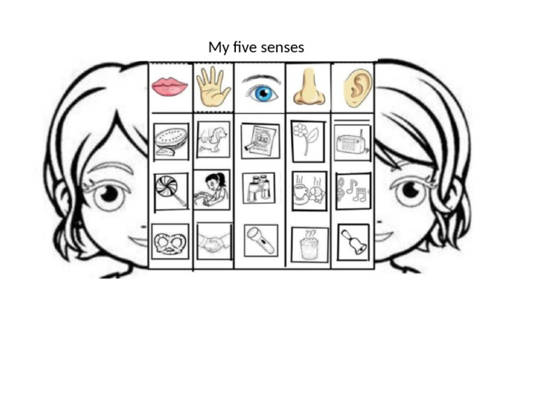 Foldables About My Senses | PDF