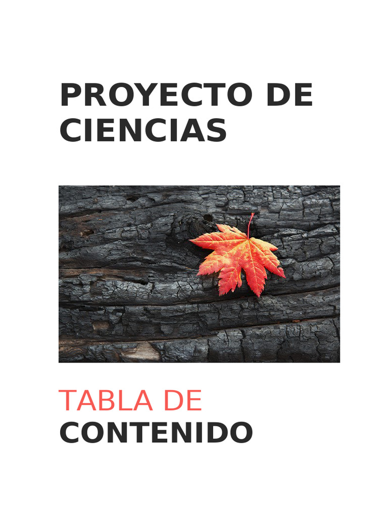 Documento (1) (2) | PDF