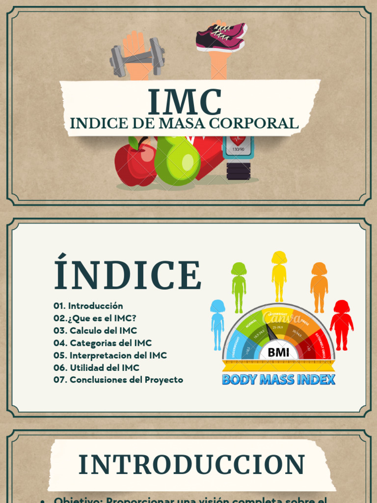 Presentacion Imc | PDF