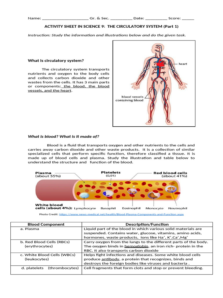 circulatory-system-1_colored | PDF