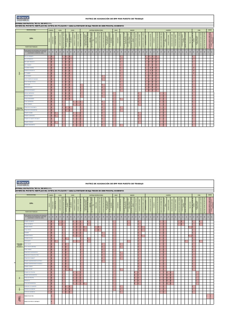 Matriz de Asignación de EPP Por Puesto de Trabajo | PDF