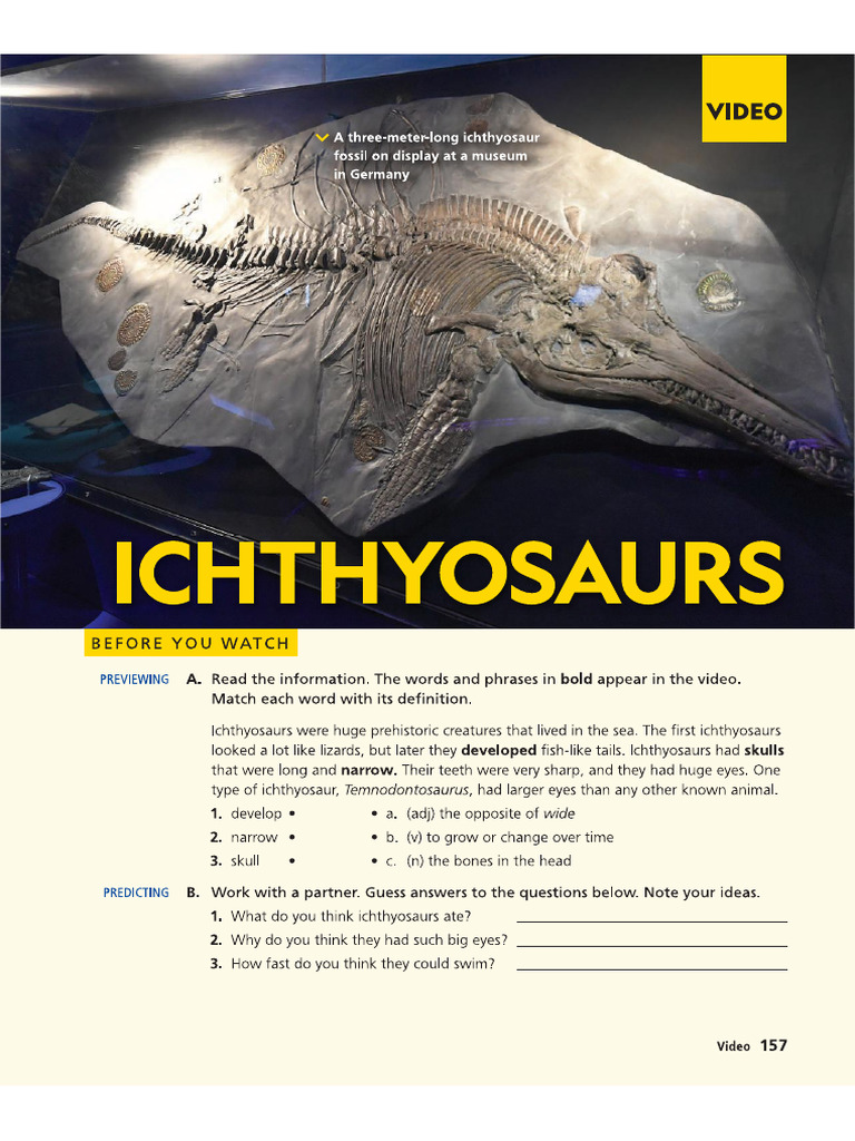 U11 Ichthyosaurs | PDF