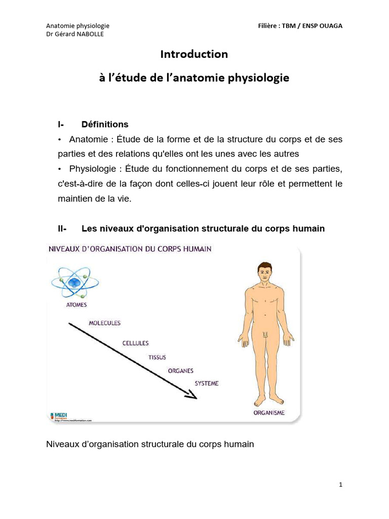 Anat Physion TBM 1 | PDF