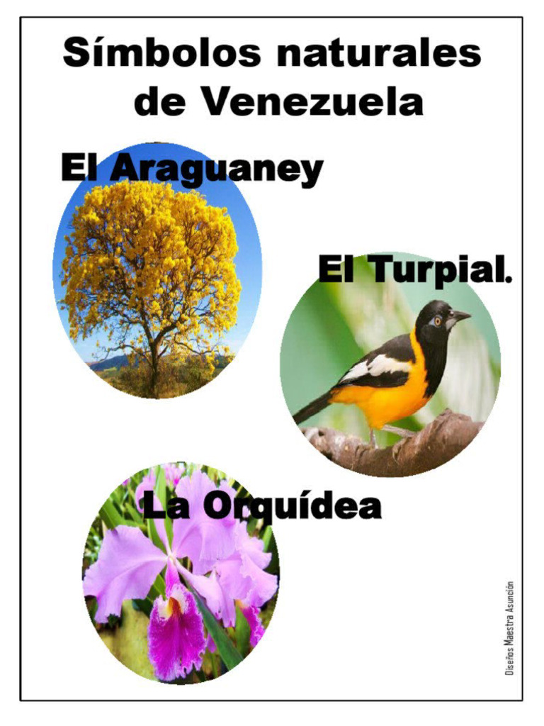 Simbolos Naturaes 1 | PDF