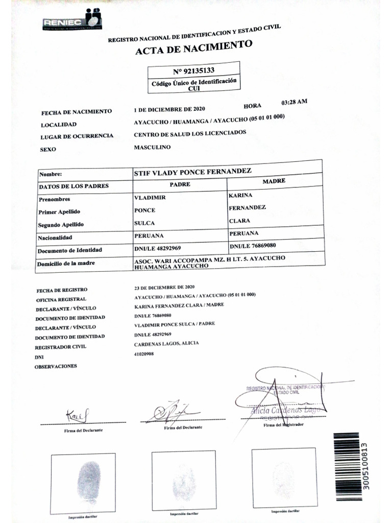 Documento 3 | PDF