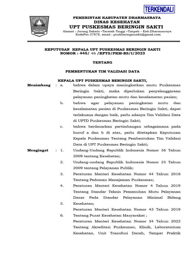 SK Tim Validasi Data | PDF