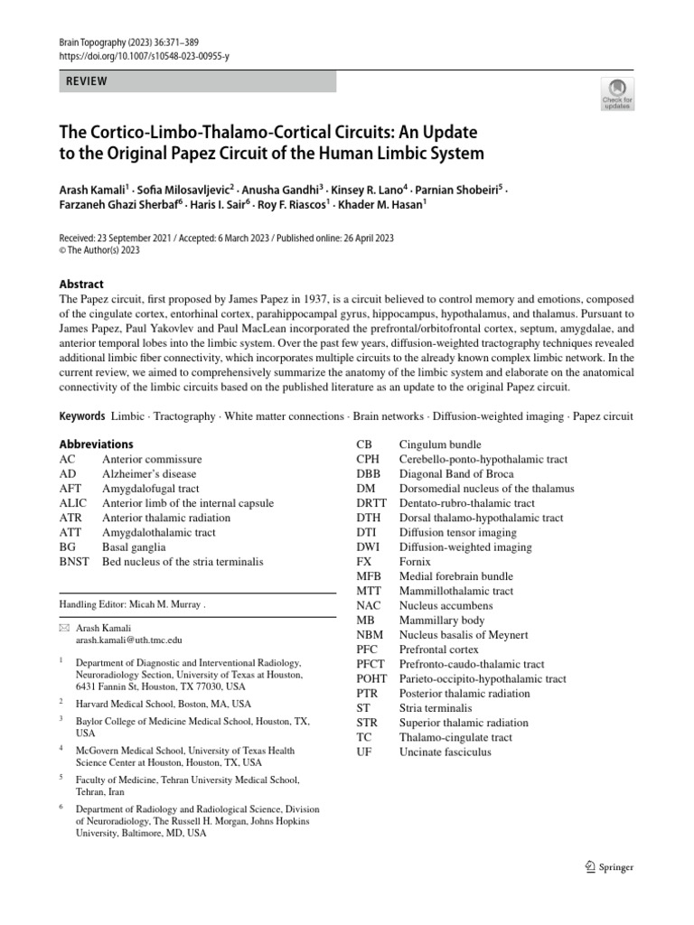 The Cortico Limbo Thalamo Cortical Circuits: An Update To The Original ...