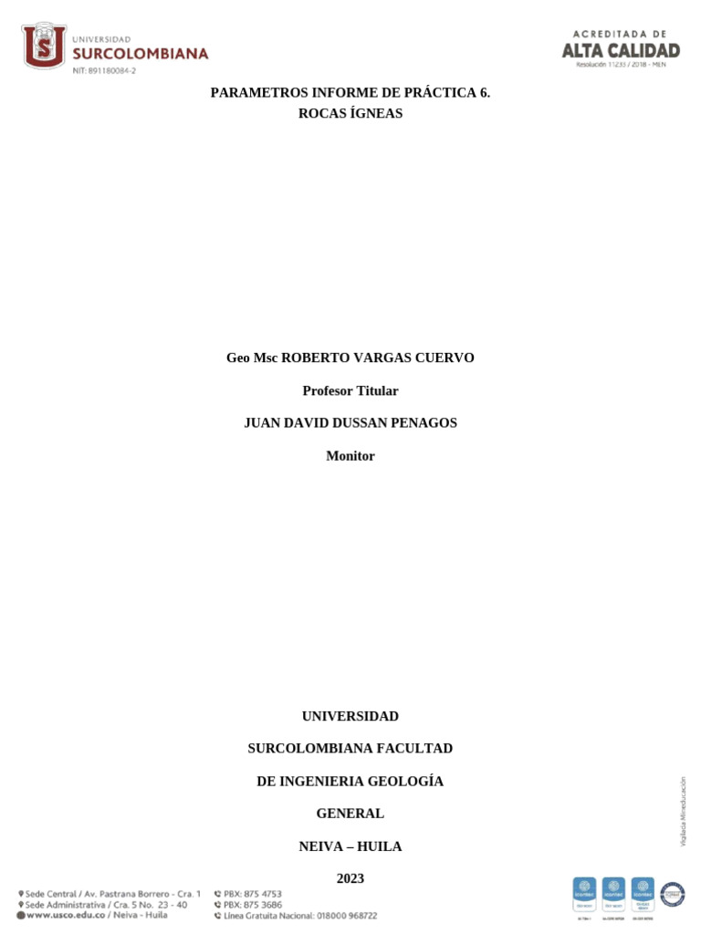 PARAMETROS INFORMES (2) | PDF