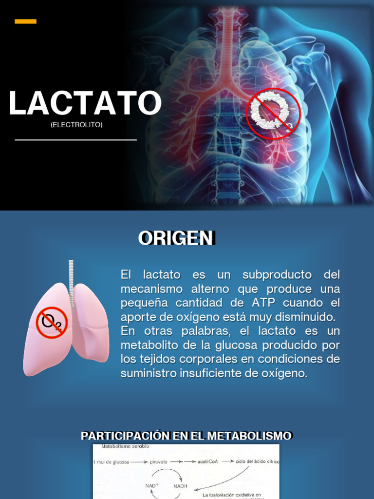 LACTATO | PDF