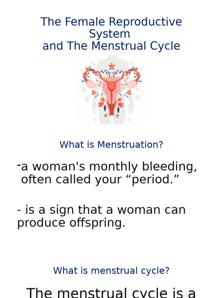 The Female Reproductive System And The Menstrual Cycle Pdf