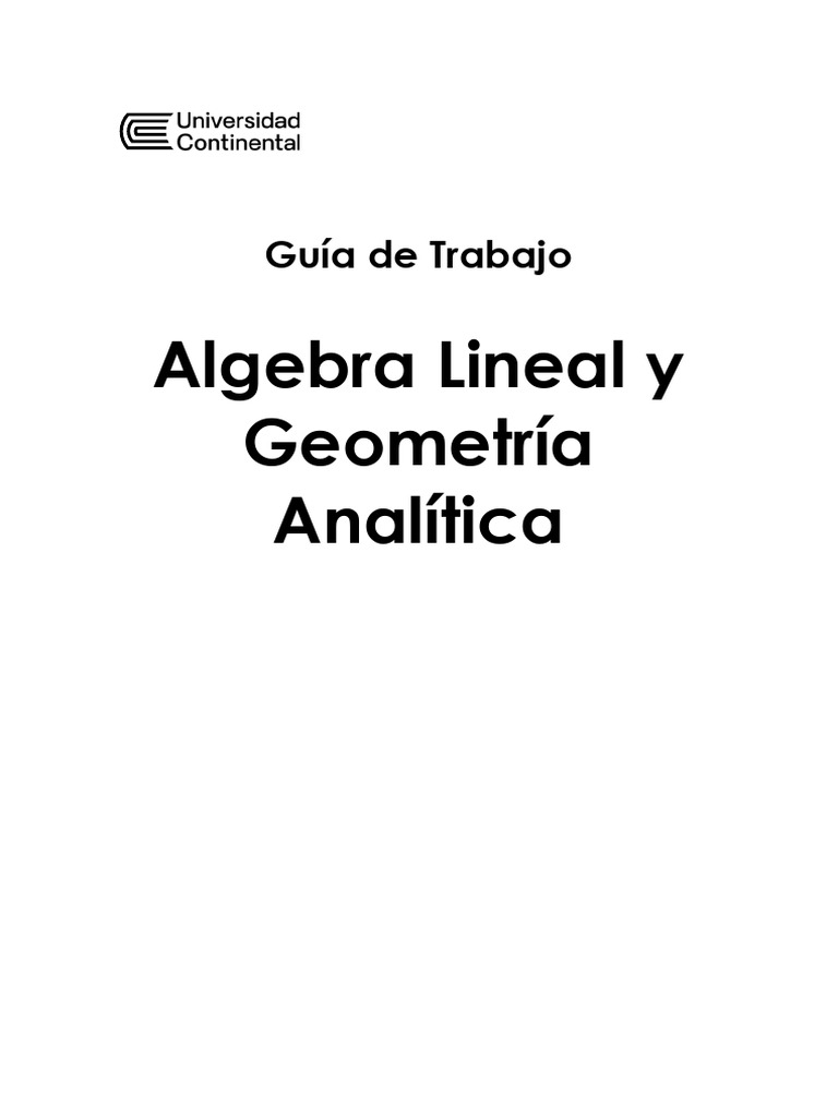 Guía de Trabajo Algebra 2024-2 | PDF