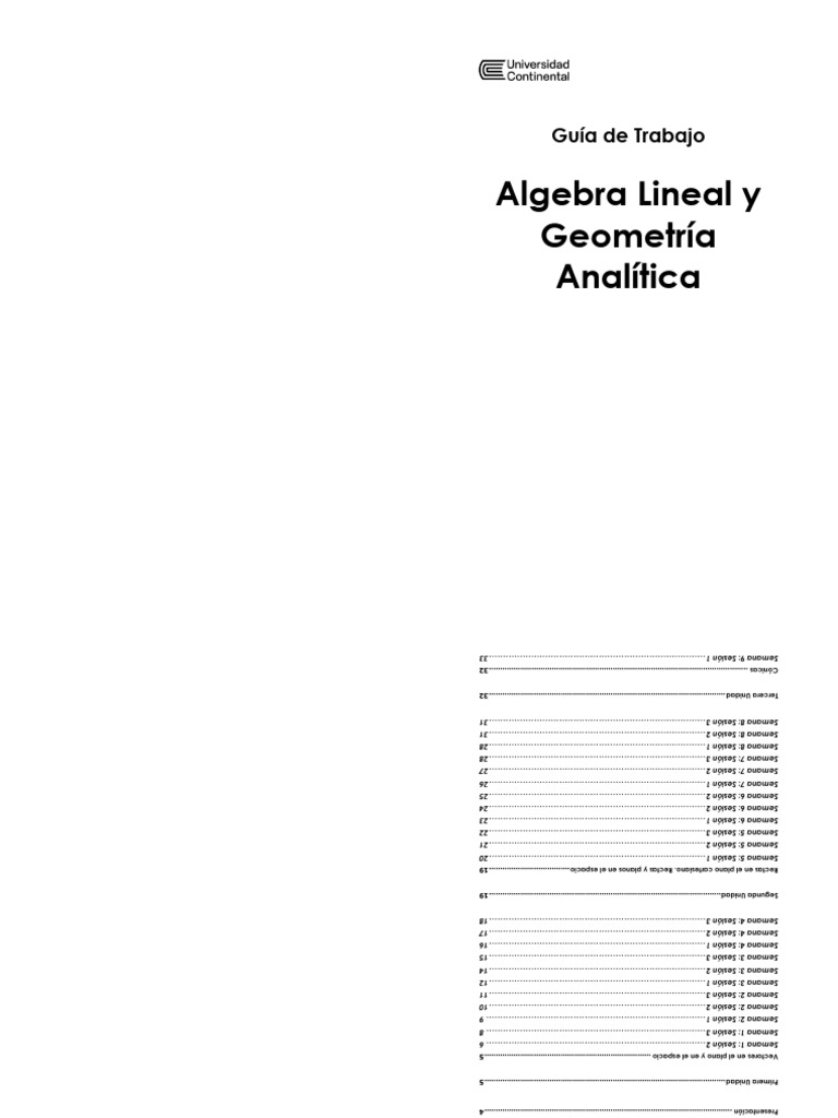 Guía de Trabajo Algebra 2024-2 | PDF
