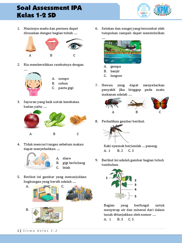 Assessment IPA 1-2 S | PDF