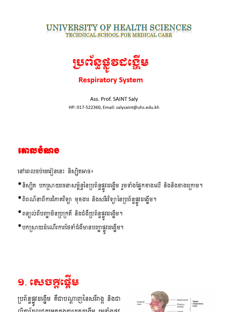 1 Respiratory System Introduction Pdf