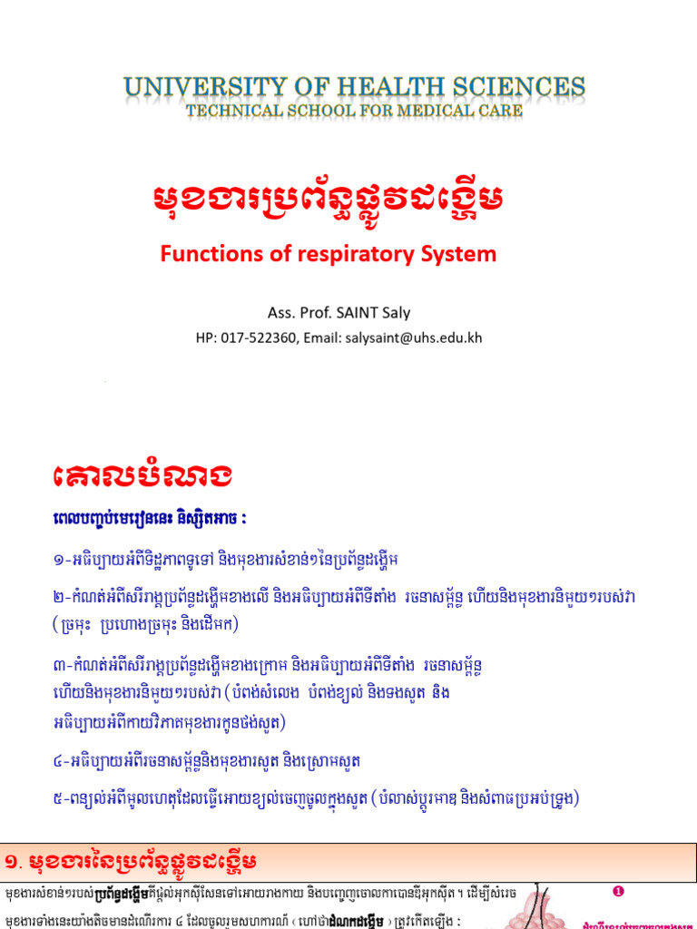 2-Respiratory System - Functions | PDF
