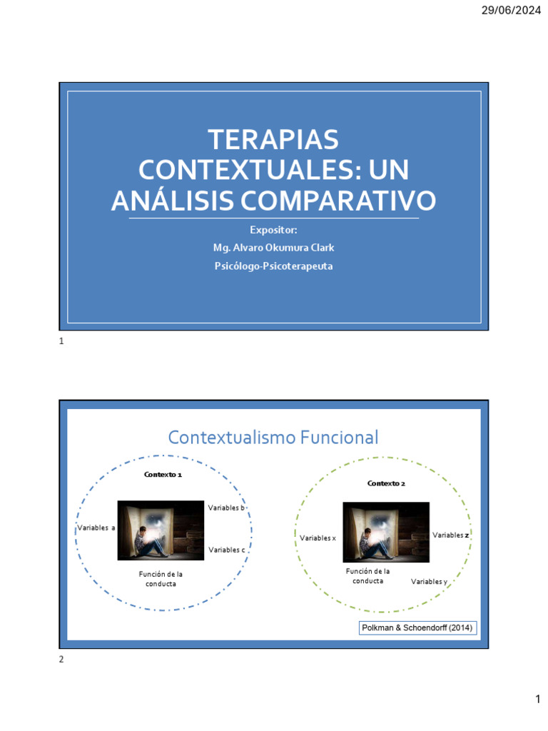 Terapias Contextuales - Analisis Comparativo | PDF