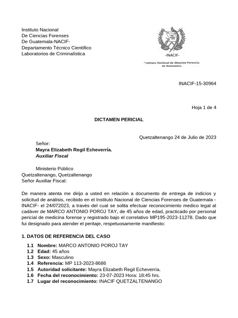 Dictamen Pericial | PDF
