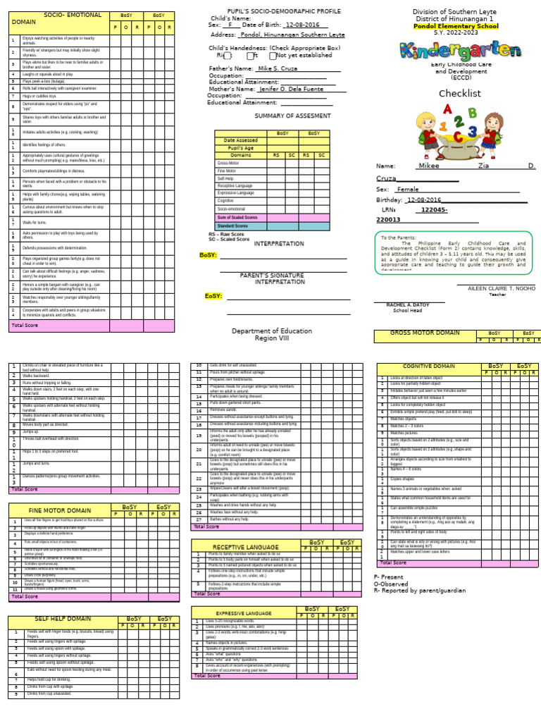 New Eccd Checklist | PDF