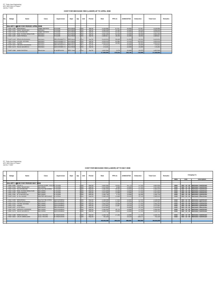 Manpower 2008 | PDF
