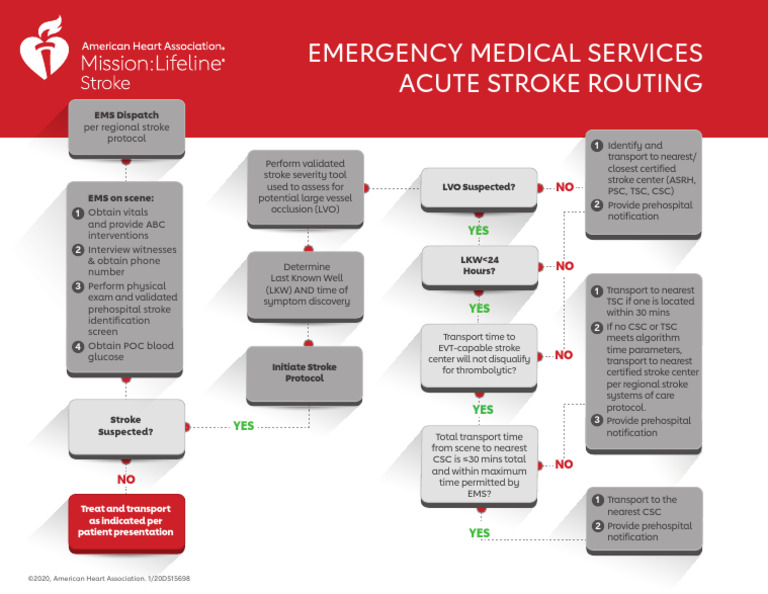 7671676-LM2 EMS Algorithm - Update 2142020 | PDF | Emergency Medical ...