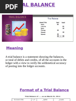 Trial Balance Questions Class11 | PDF
