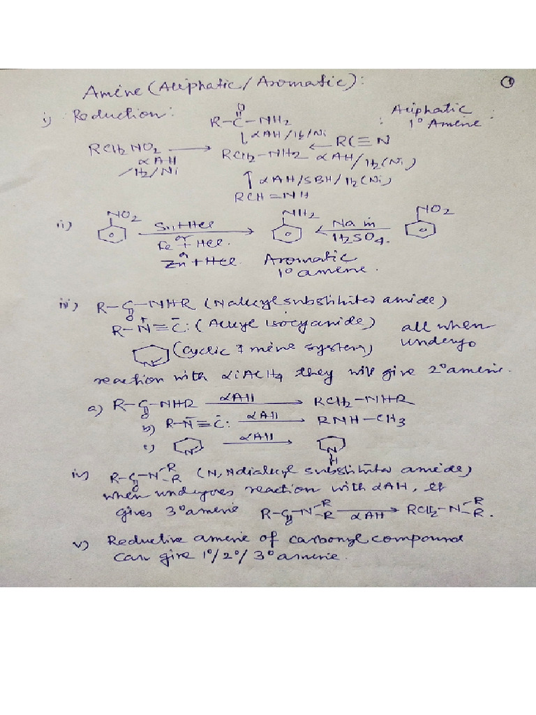Nitrogenous Compound | PDF