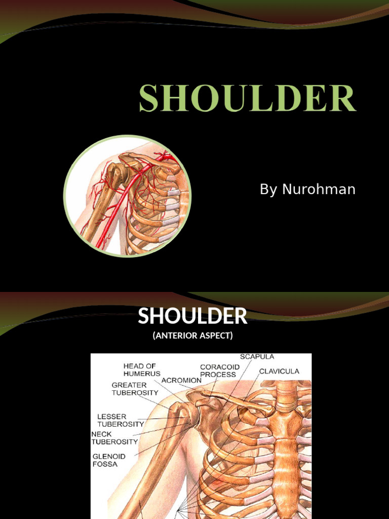 Shoulder | PDF