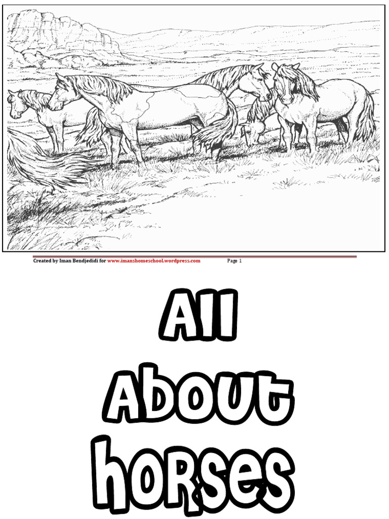Horse Lapbook Templates | PDF