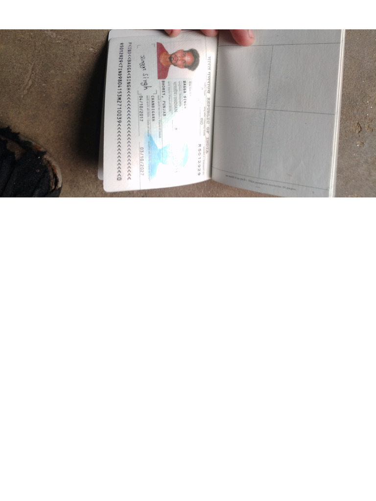 Bagga Singh - 10003 | PDF