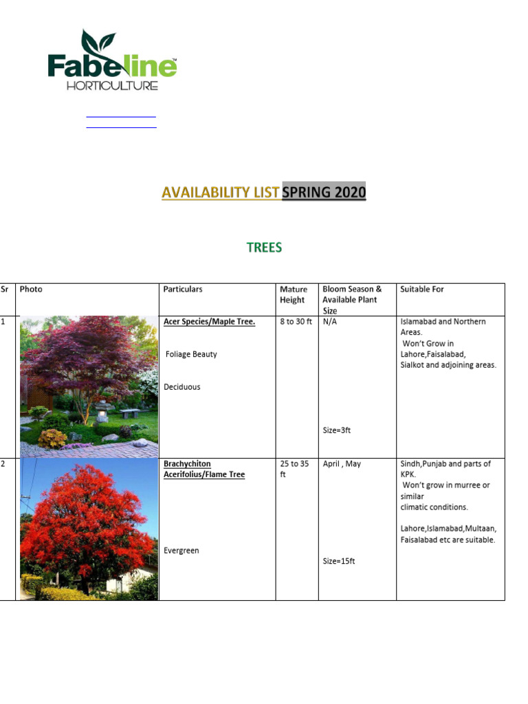 Plant Availability List Fabeline | PDF