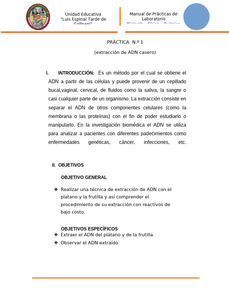 FORMATO PRÁCTICA DE LABORATORIO Extracción de ADN Casero | PDF