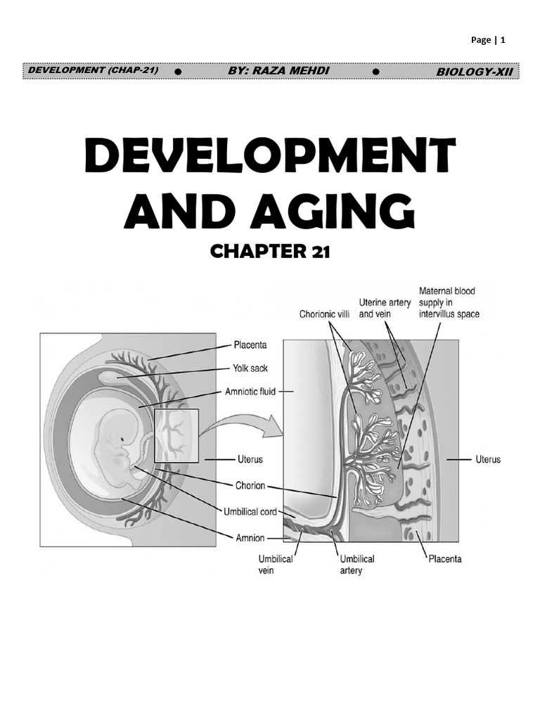 Development and Aging Chap-21 (Xii-2023-24) PDF | PDF