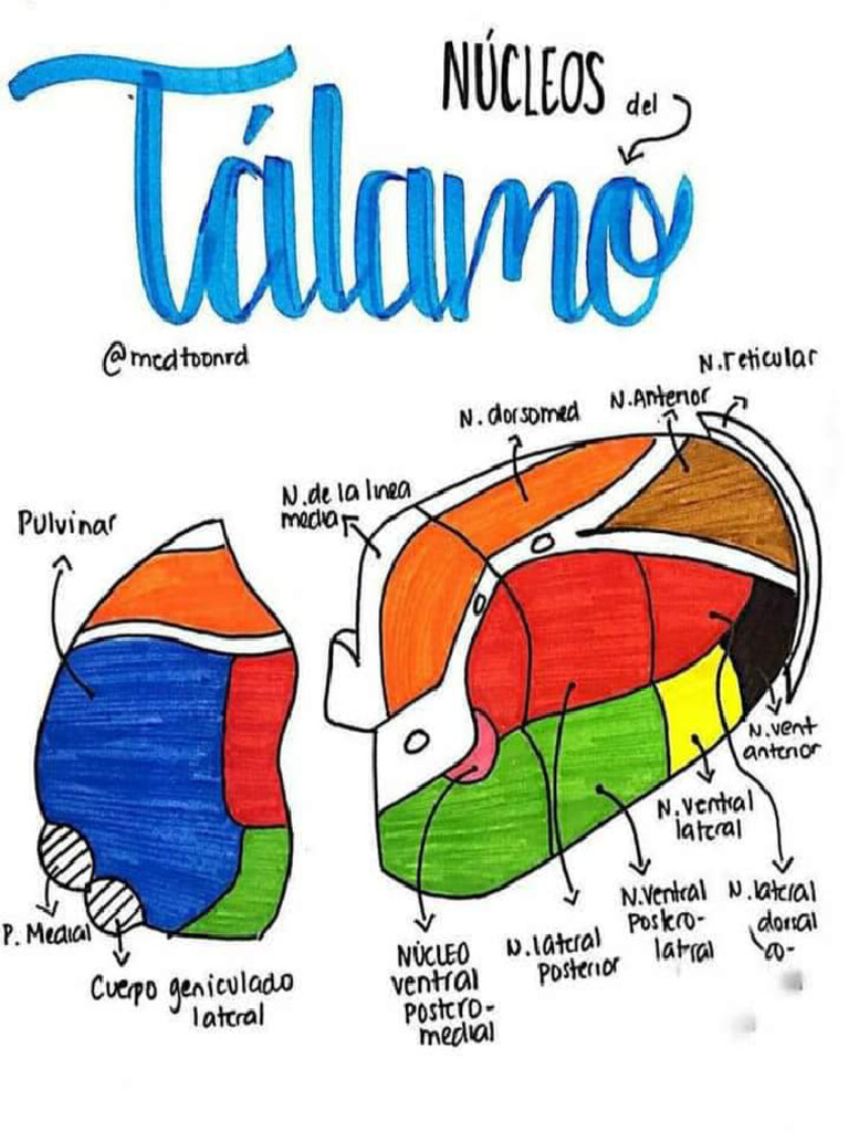 Talamo | PDF