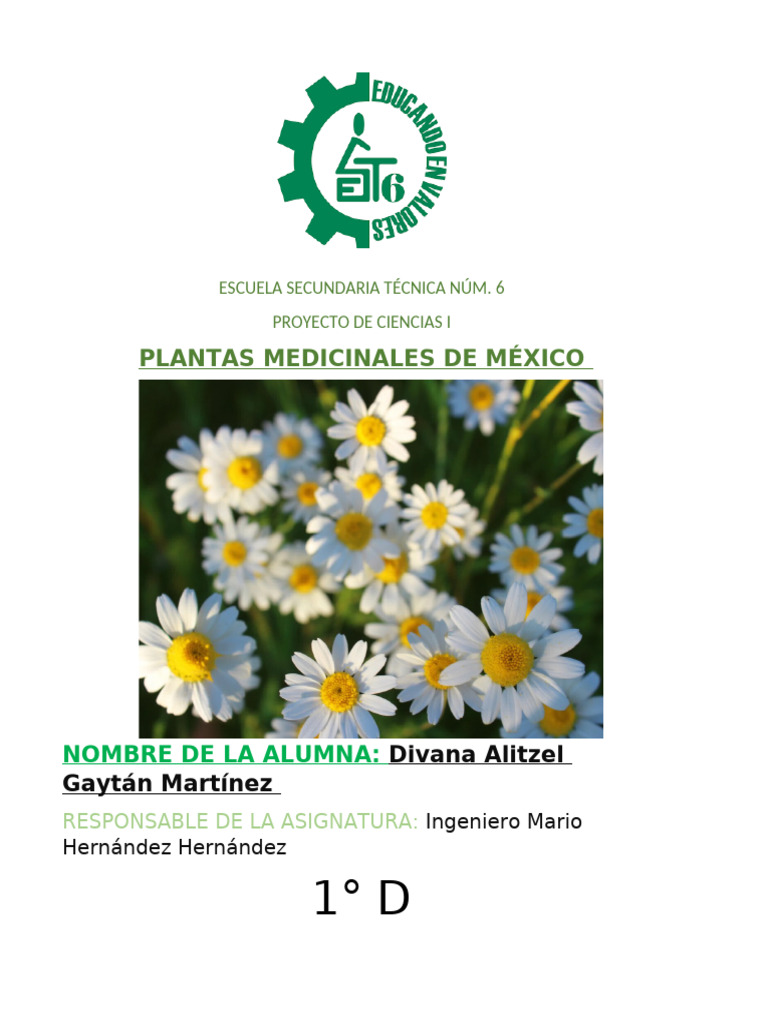 100 Plantas Medicinales | PDF