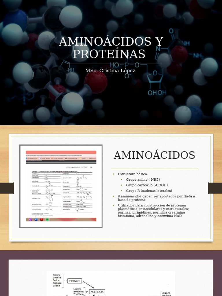 AMINO%C3%81CIDOS+Y+PROTE%C3%8DNAS++BQ+CL%C3%8DNICA | PDF