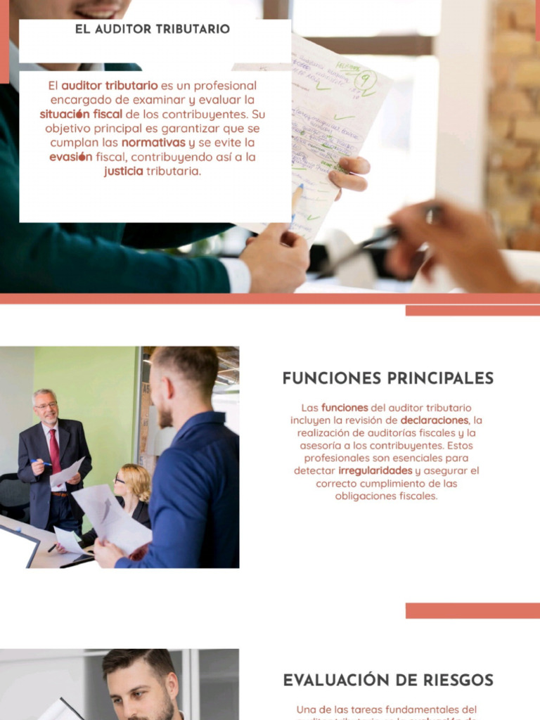 EL AUDITOR TRIBUTARIO | PDF