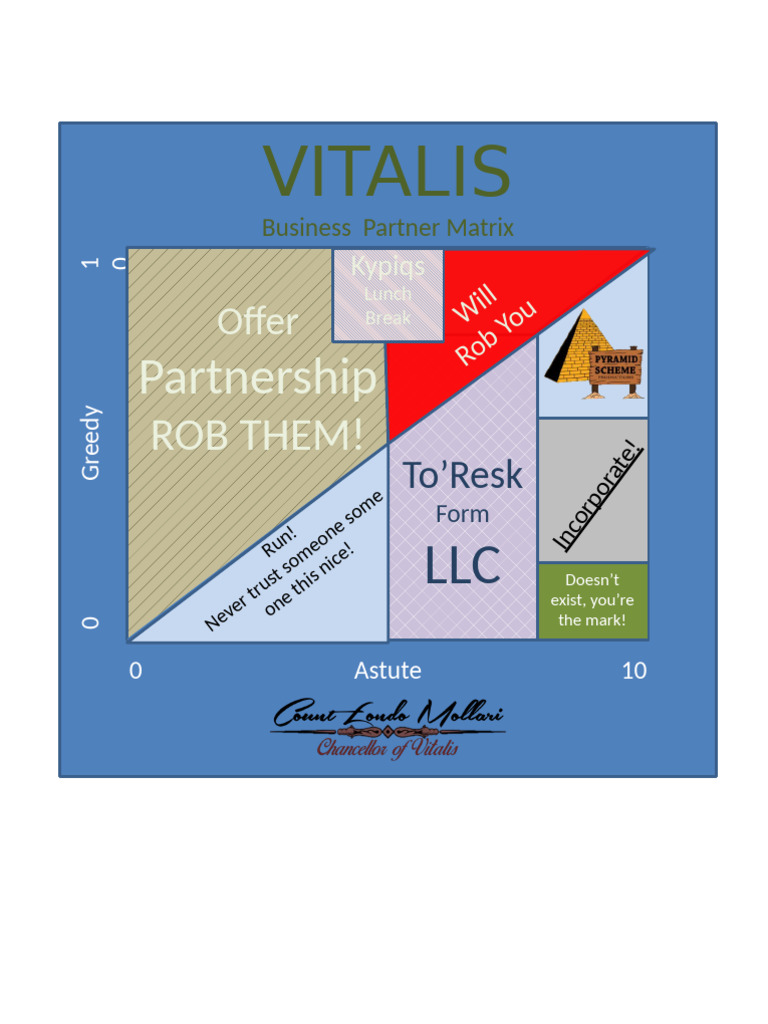 Vitalis Business Partner Matrix | PDF