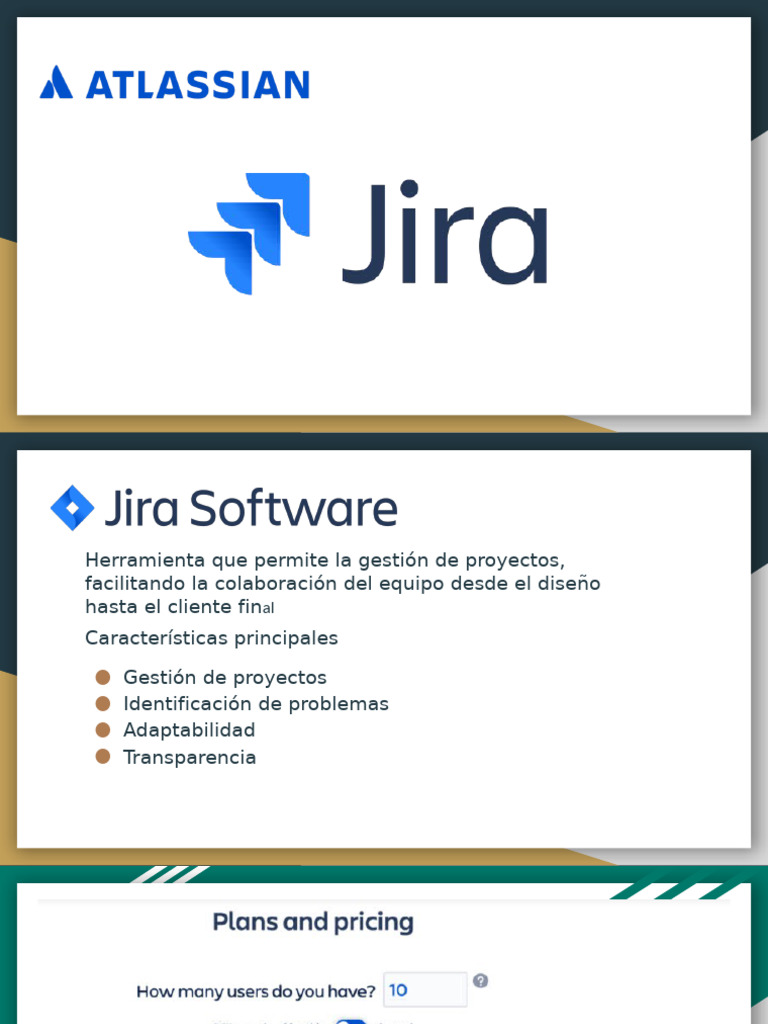 Jira Software | PDF
