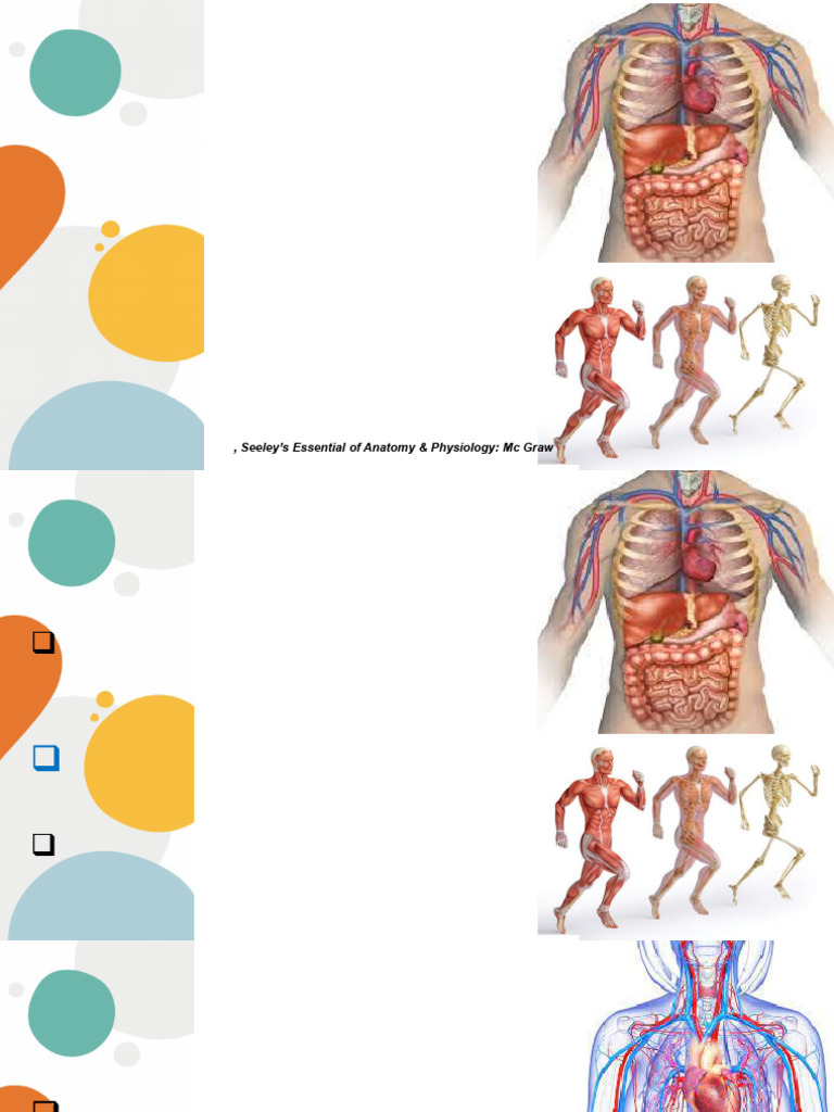 The Human Organism | PDF
